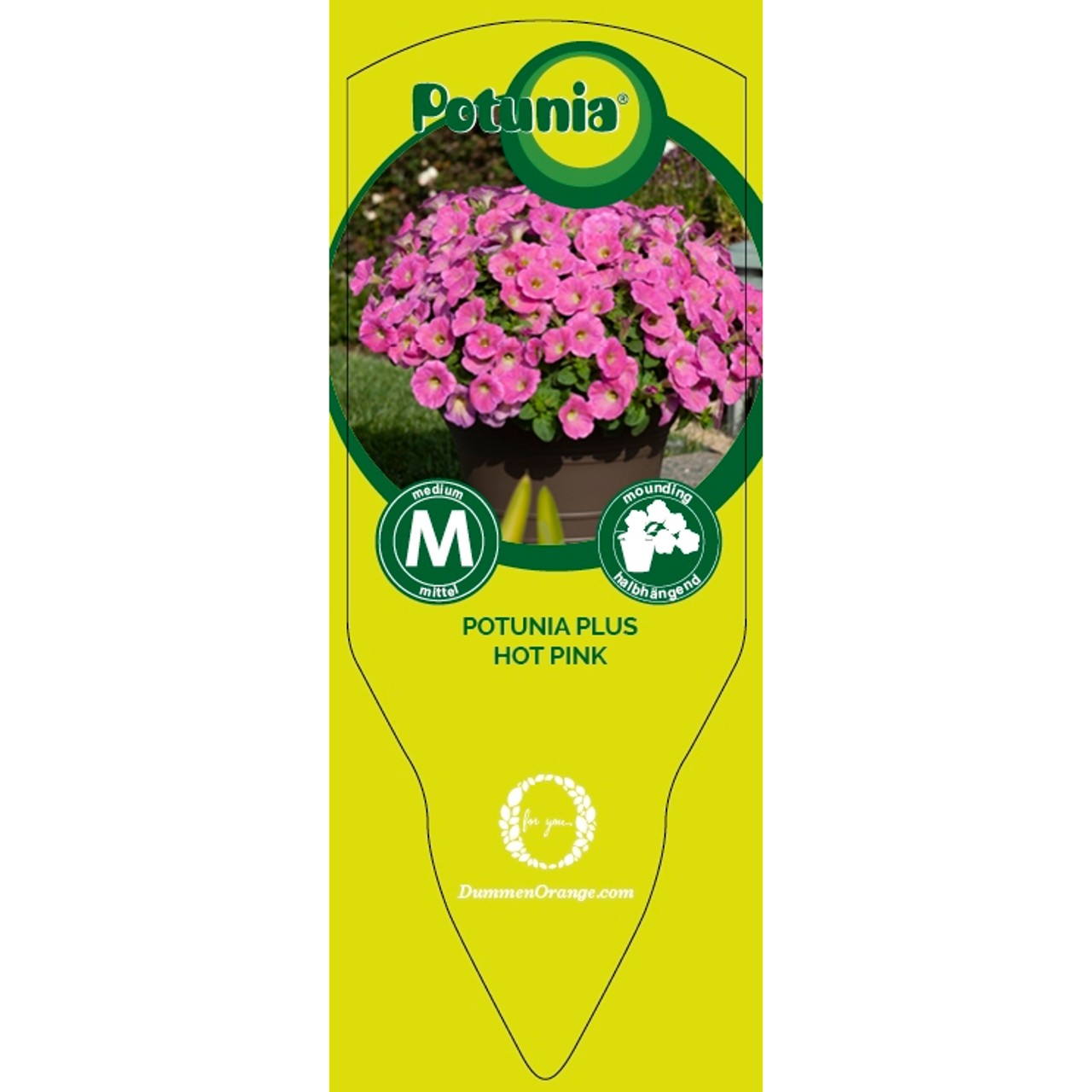 Tag Potunia Plus Hot Pink - Potunia POS Materials - Dümmen Orange